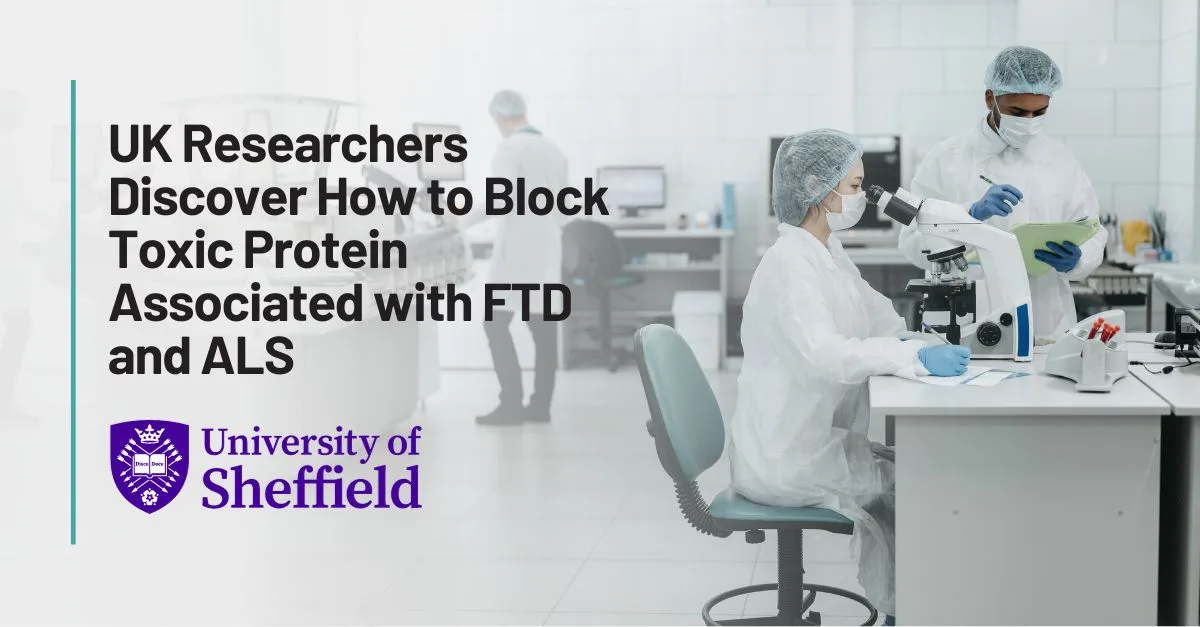 UK Researchers Discover How to Block Toxic Protein Associated with FTD ...