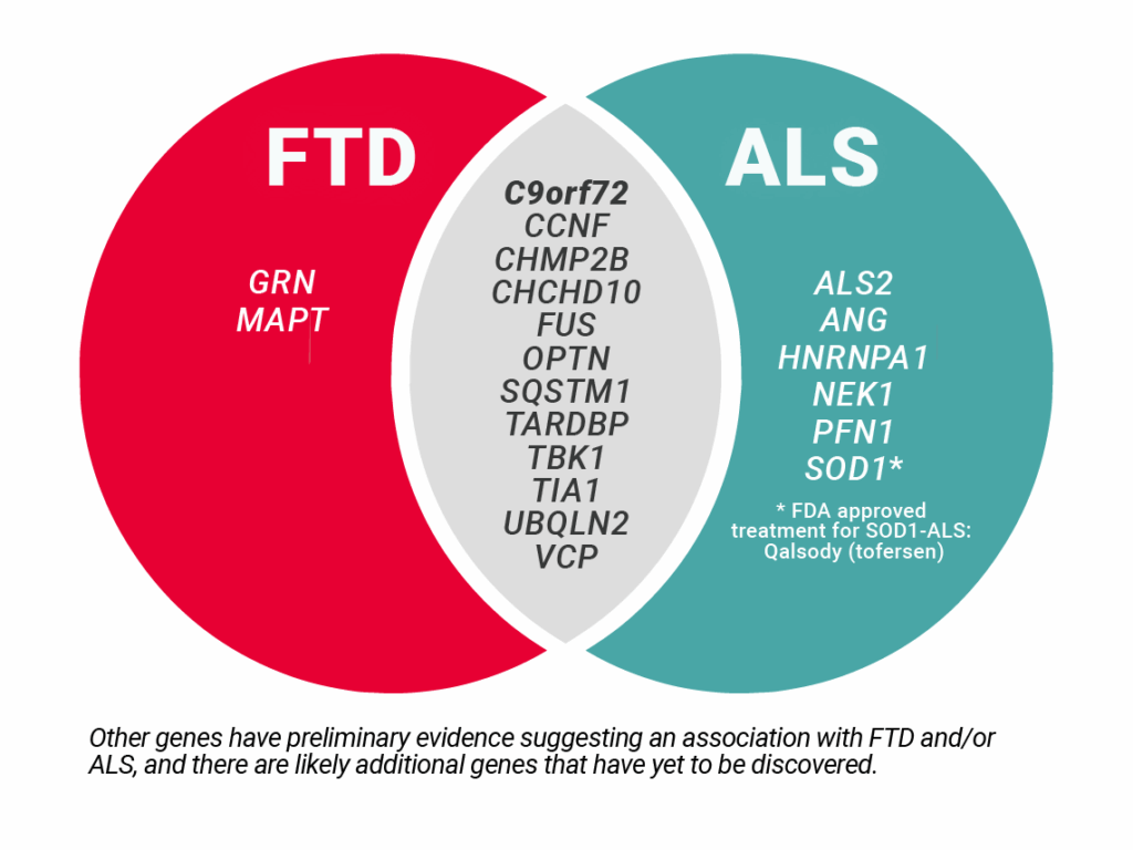 Tips & Advice - Navigating FTD-ALS | AFTD